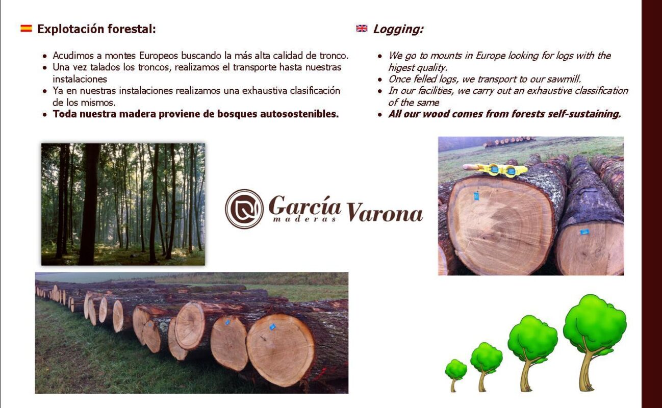 Nuevo catalogo Maderas Garcia Varona | Maderas Garcia Varona