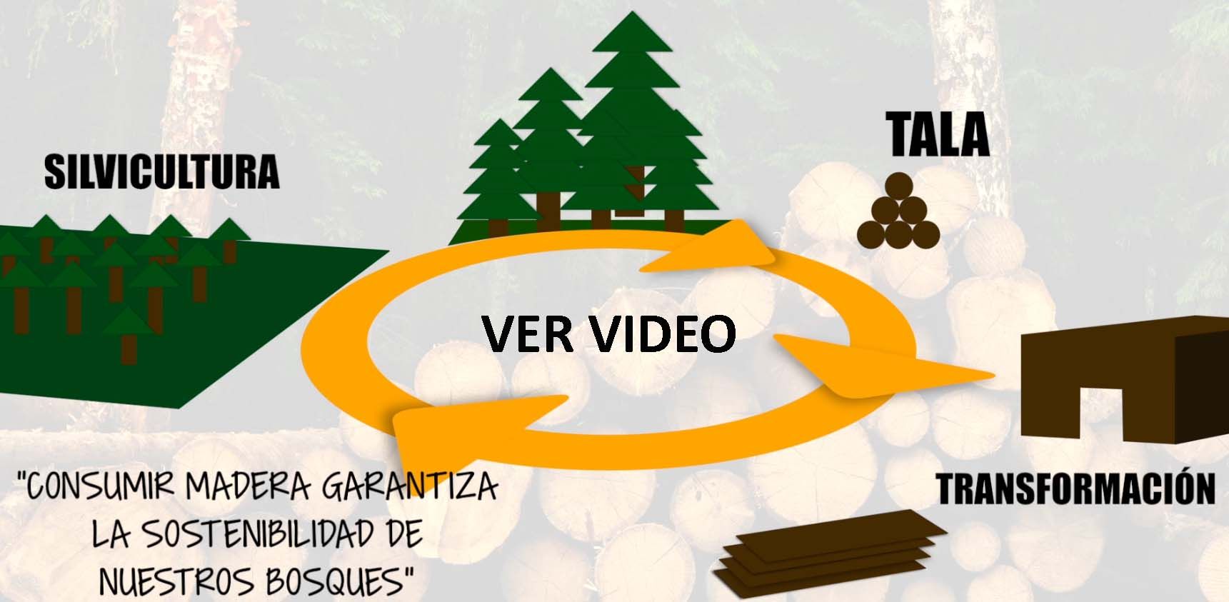 La madera hace la vida más cálida y sostenible | Maderas Garcia Varona